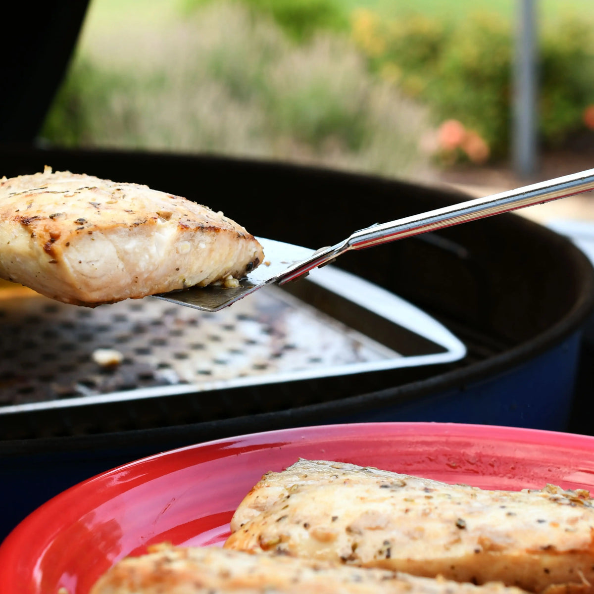 Comment bien cuisiner la dorade coryphène ? - Myklon